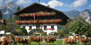 Almabtrieb Reith im Alpbachtal | Alpbachtal Tourismus