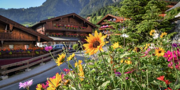 Unique Alpbach | Alpbachtal Tourismus