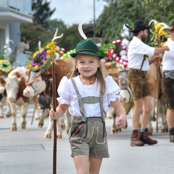 Almabtrieb Reith im Alpbachtal | Alpbachtal Tourismus