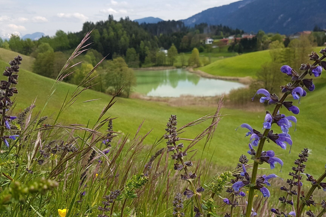 Achenmarsch Tiefenbachklamm Rundtour | Alpbachtal