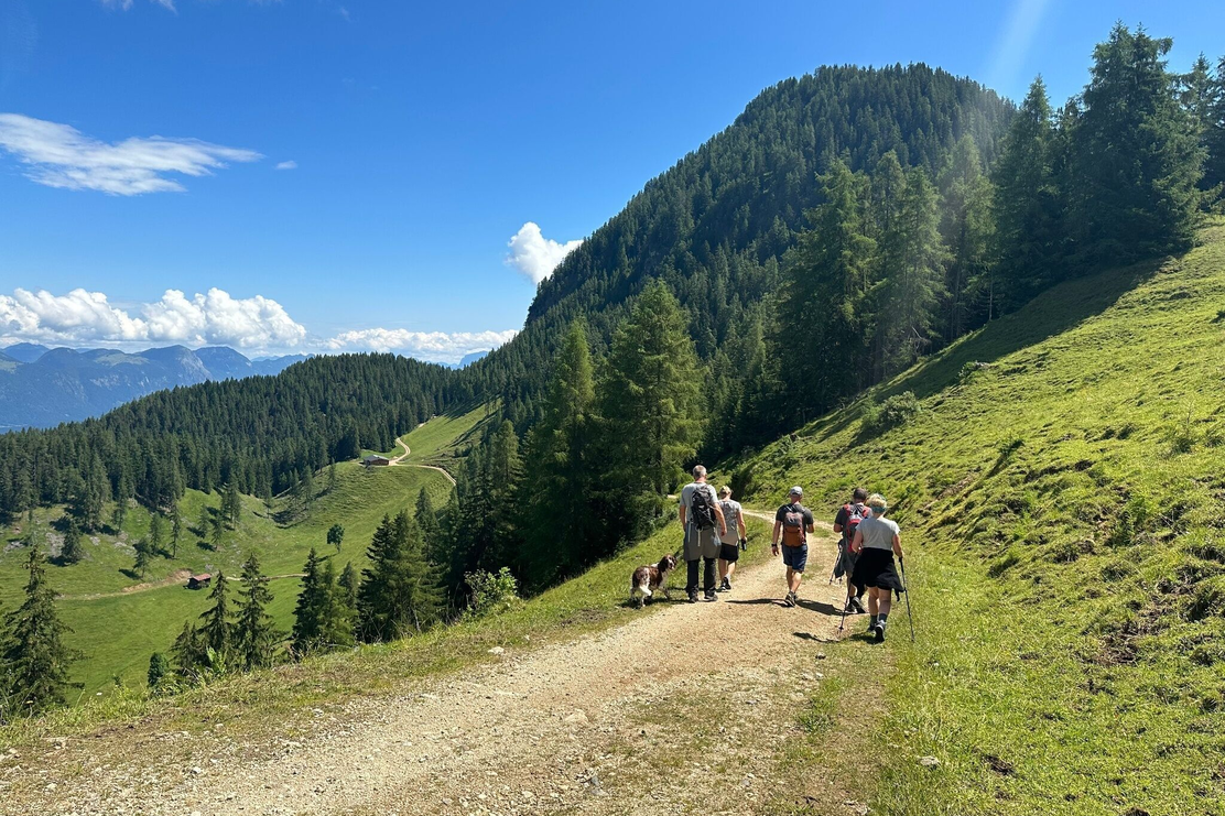 Alpbach über Bischofer Joch zur Holzalm | Alpbachtal