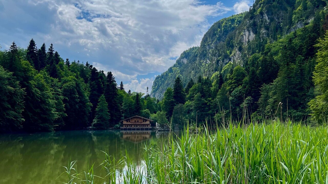 Berglsteinersee - Salberg - Moosen | Alpbachtal