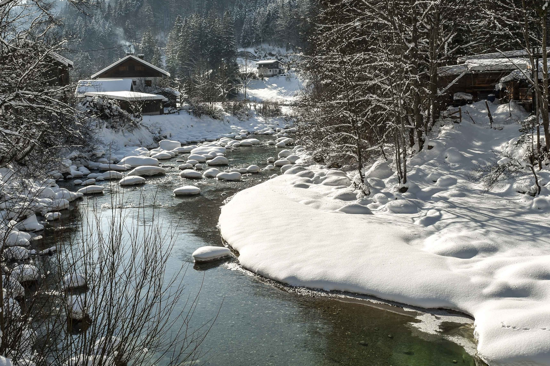 Pinegg - Brandenberg | Alpbachtal