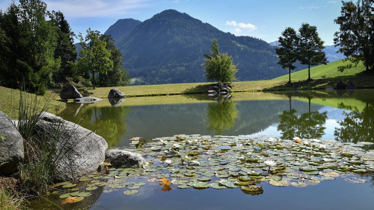 Reither Kogel - Vom Berg ins Tal | Alpbachtal