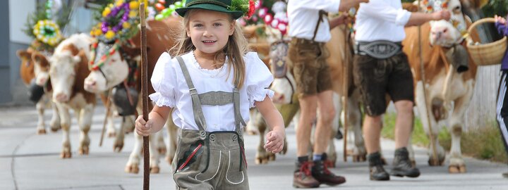 Almabtrieb Reith im Alpbachtal | Alpbachtal Tourismus